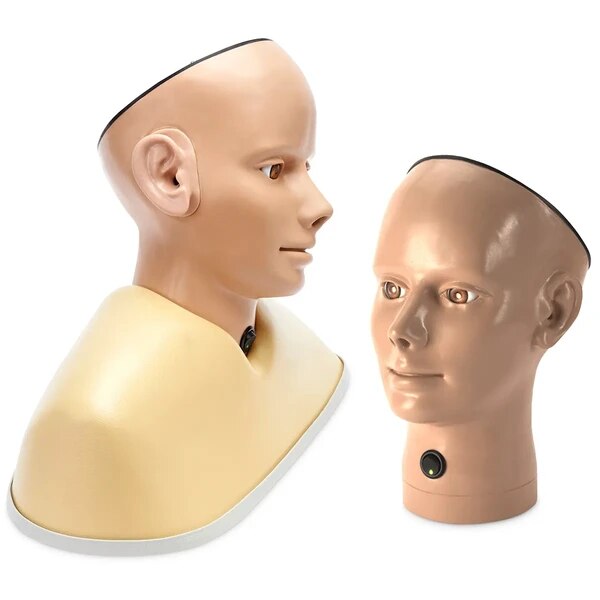 Digital Eye and Ear Examination Trainer Set - Light | DiaMedical