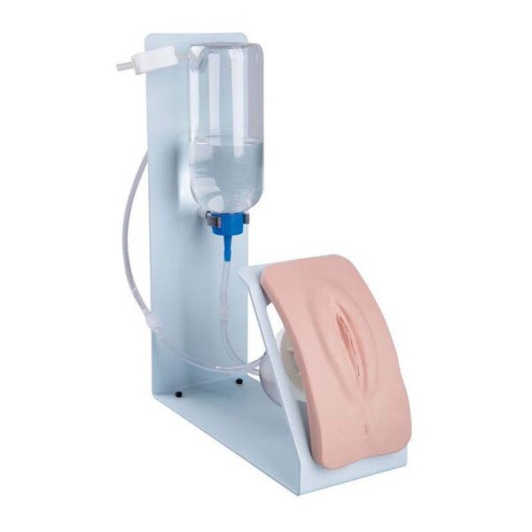 3B Scientific BASIC Male and Female Catheterization Simulators | DiaMedical USA