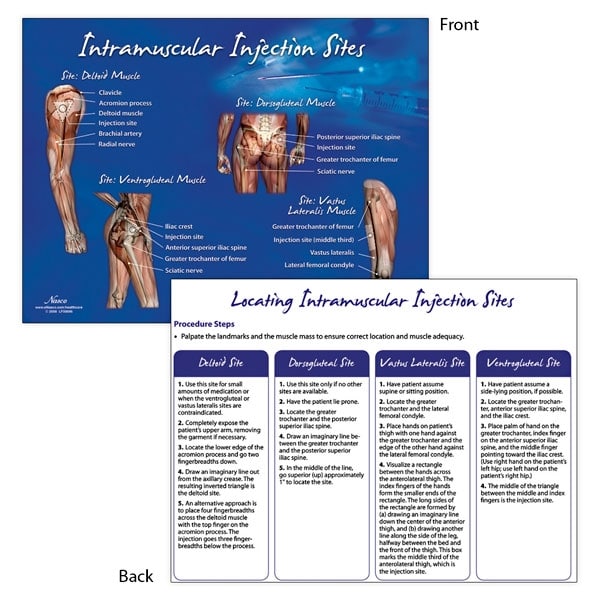 Intramuscular Injection Diagram
