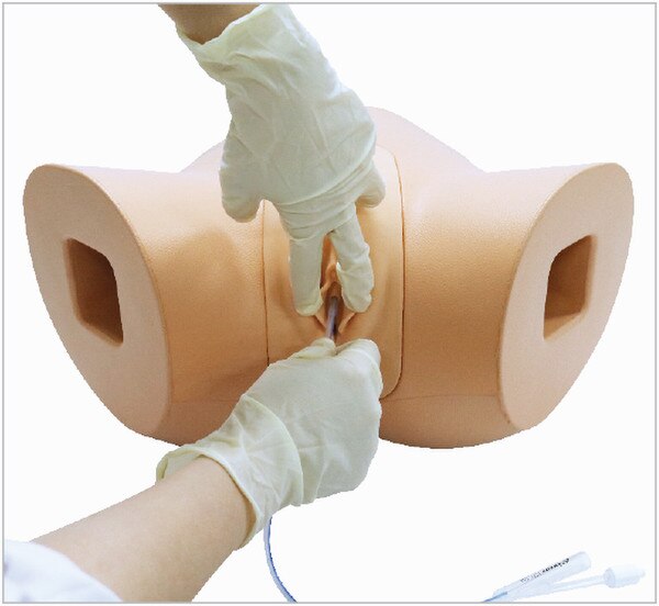 BT Inc. Female Catheterization Simulator | DiaMedical USA