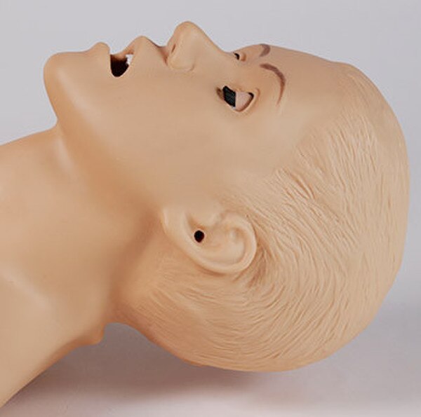 Gaumard Simple Simon Nursing Care Patient Simulator | DiaMedical USA