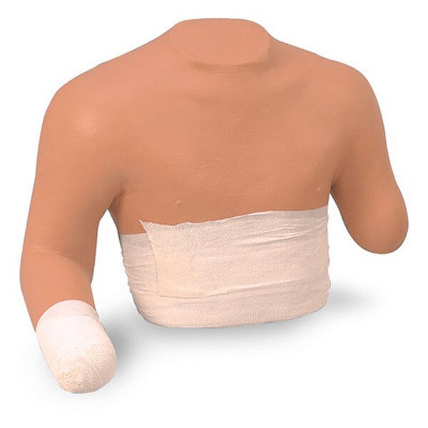 Life/form® Upper Stump Bandaging Simulator | DiaMedical USA