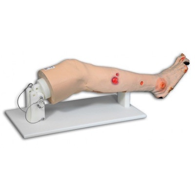 VATA Annie Arterial Insufficiency Leg Model | DiaMedical USA