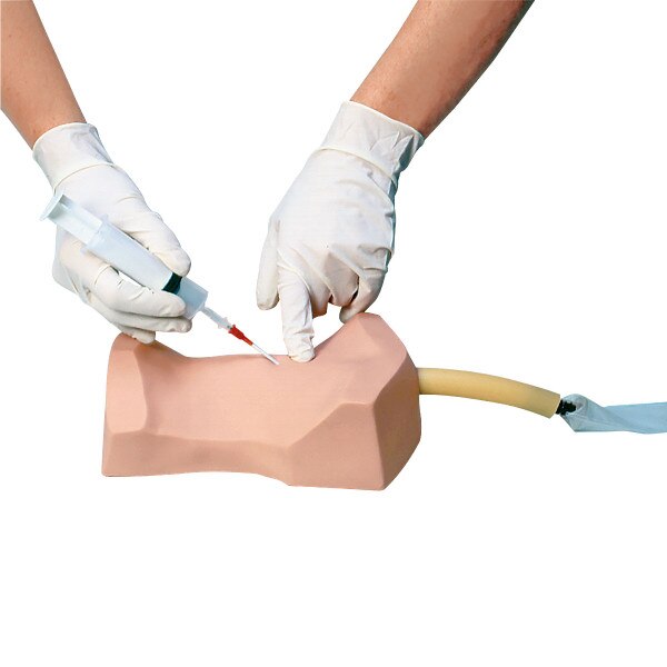 Simulaids Deluxe Cricothyrotomy Simulator | DiaMedical