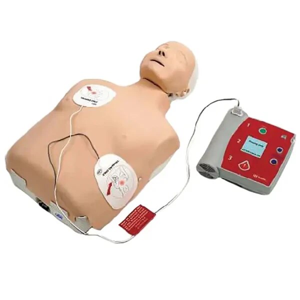 Laerdal Little Anne AED Manikin w/ AED - Trainer 2