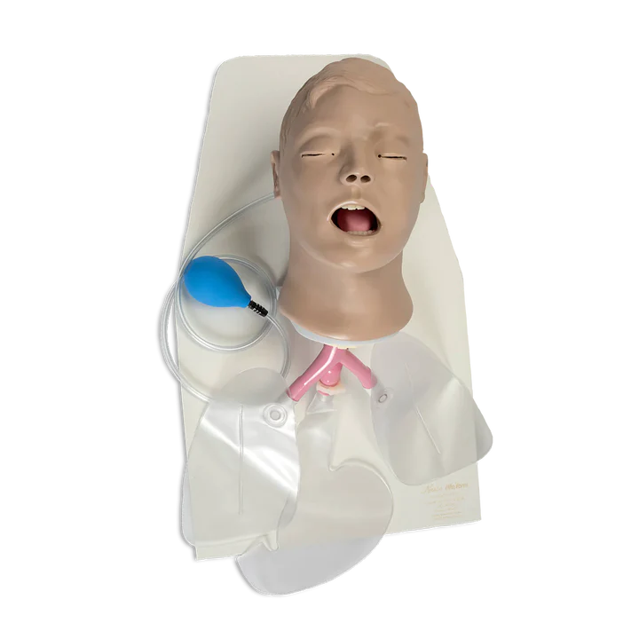 Life/form® Airway Larry Trainer With Stand | DiaMedical USA